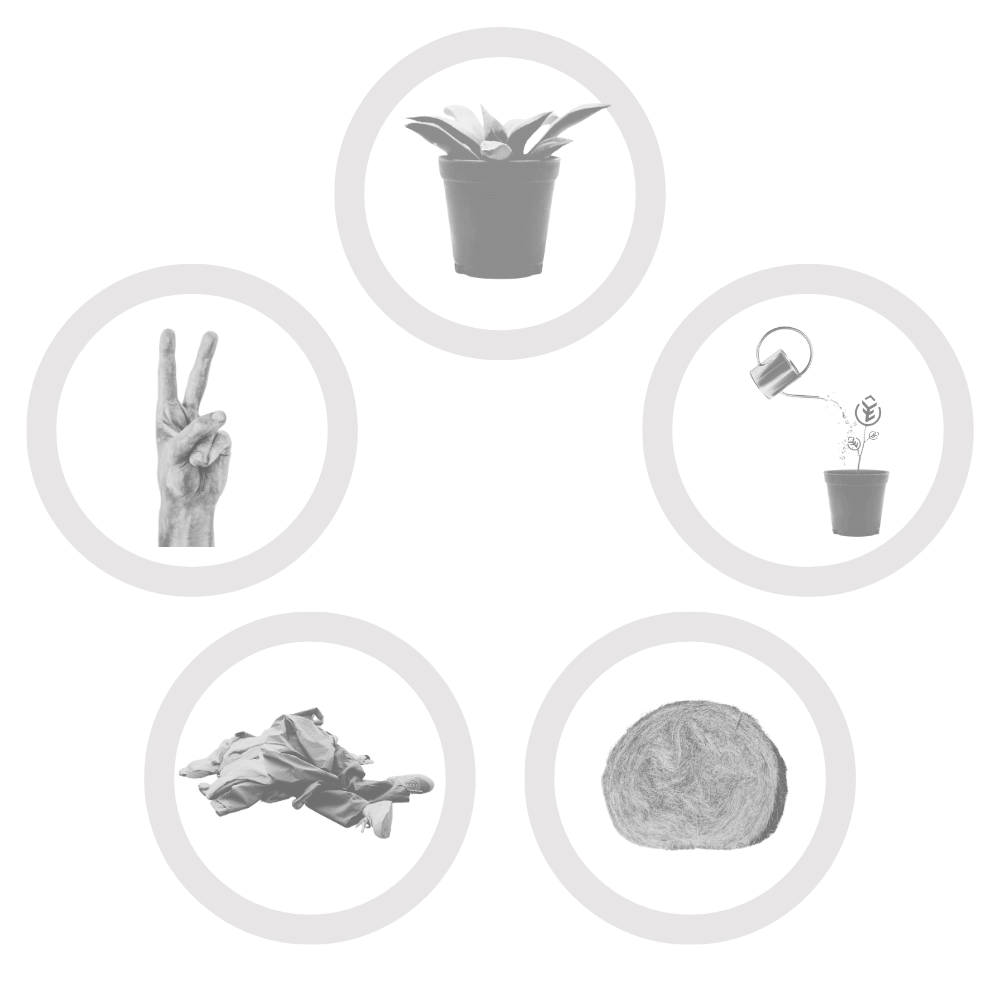 FÈY - inspired by nature to inspire people